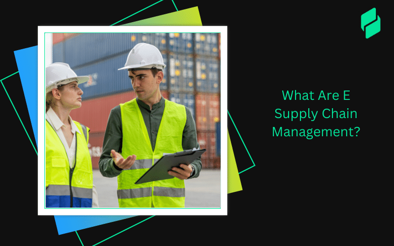 What Are E Supply Chain Management?